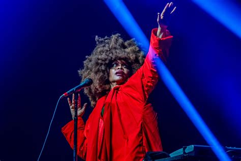 Photos Erykah Badu Celebrates 25 Years Of Mamas Gun At The Chicago