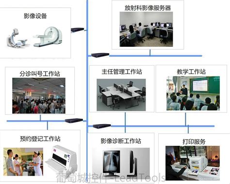 Leadtools 助某医院搭建pacs医学影像信息系统 Csdn博客
