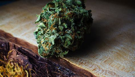 What Does Sativa Do To You Effects Explained