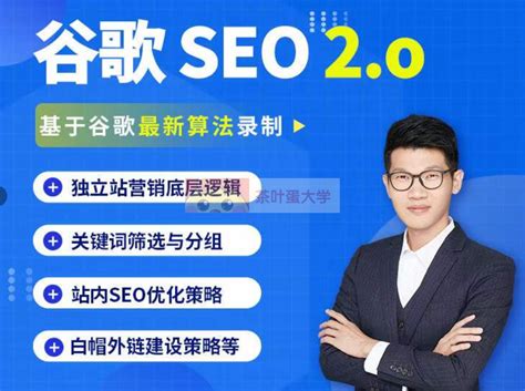 谷歌seo 20课程 基于谷歌最新算法录制（2022 09） 百度网盘 下载 茶叶蛋大学
