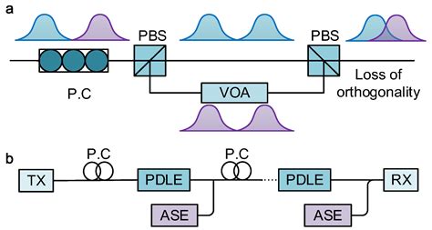 Continuous Variable Quantum Key Distribution Robust Against Polarization Dependent Loss
