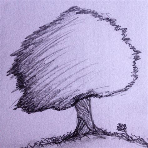 Tree In The Wind By TalsteIbanana On DeviantArt