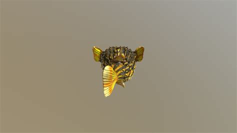 Probs Morph D Model By Allentang C Sketchfab