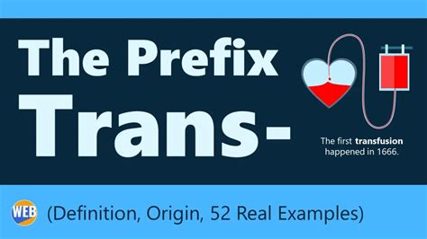 The Prefix Trans Definitions 52 Examples Video Pdf World English Blog