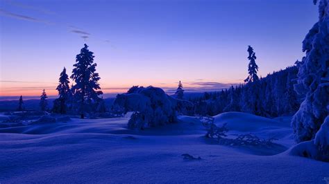 Картинки зима сніг ліс захід сонця краса обои 1920x1080 картинка №554834