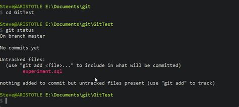 Creating A Repository From VSCode SQLNewBlogger Voice Of The DBA