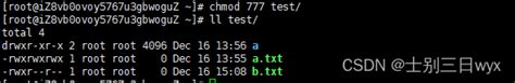 linux chmod命令详解，linux修改文件权限 chmod给目录下所有文件授权 chmod目录下所有文件 csdn博客