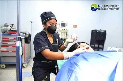 Anatomía Y La Fisiología Humana En La Formación En Enfermería