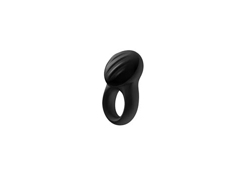 The Chicago Athenaeum Satisfyer Signet Ring 2019 2020