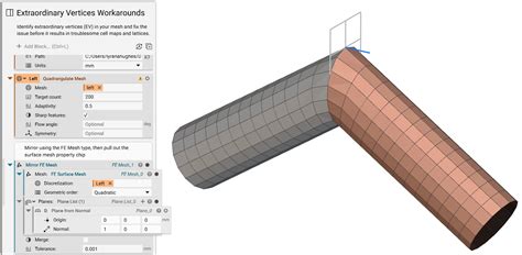 How To Deal With Extraordinary Vertices In Meshes NTop