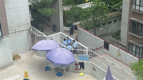 北角野豬闖私人屋苑泳池 漁護署施麻醉槍捉走 新冠疫情專頁