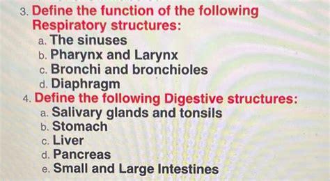 Solved 3. Define the function of the following Respiratory | Chegg.com