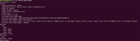 Unable To Login As User To A Copied Container Lxc Linux