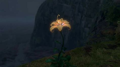 Where Rupunzels Story Begins