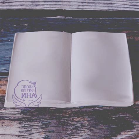 Голяма книга - Гипсови фигурки Ина