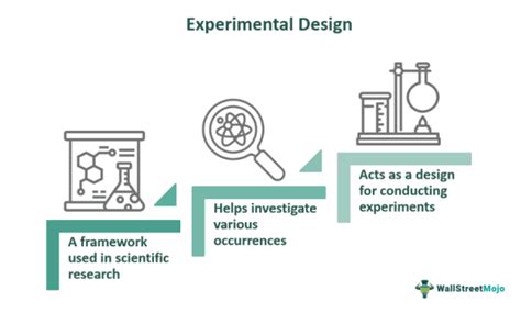 Experimental Design What It Is Examples Principles Types