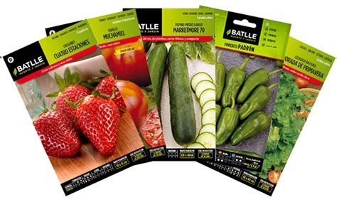 Plantando Semillas De Hortalizas