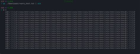 Long Strings With Multi Byte Characters Are Not Properly Pasted Onto