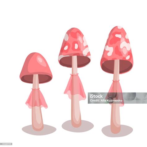 버섯은 흰색 배경에 격리 된 아이콘을 설정합니다 귀여운 요정 버섯 패키징 배너 카드 및 기타 설계를 위한 템플릿 벡터 그림입니다 식품 컨셉 자연에 대한 스톡 벡터 아트 및