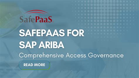 Access Governance Challenges In Sap Ariba Safepaas
