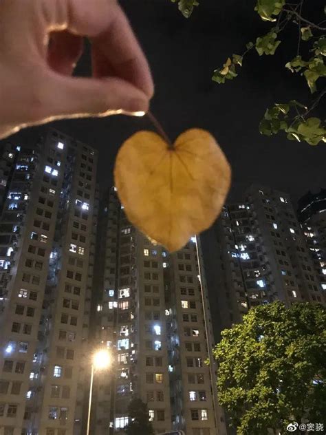 何超莲为男友破禁忌，大露酥胸哄窦骁开心，窦骁全方位赢了吴克群