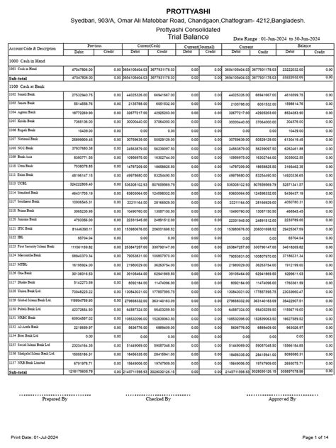 Generate Trial Balance Report Pdf Debits And Credits Financial Services
