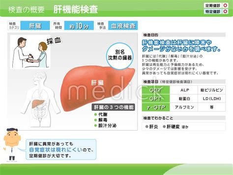 肝機能検査概要と検査項目基準値の説明スライド 医療のイラスト写真動画素材販売サイトのメディック medick
