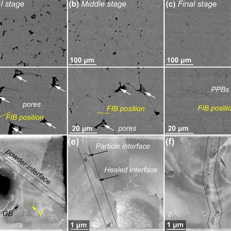 The Typical Structure Analysis Of Phases At Neck Interface During Download Scientific Diagram