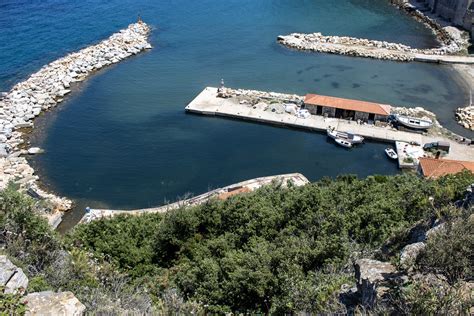 Img0233 Radiša Nikodijević Flickr