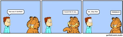 Garfields Terrible Day By Criniveran On Deviantart