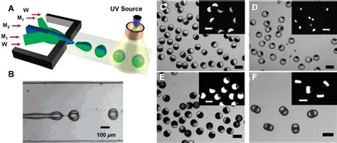 Figure 2 From Microfluidic Methods In Janus Particle Synthesis