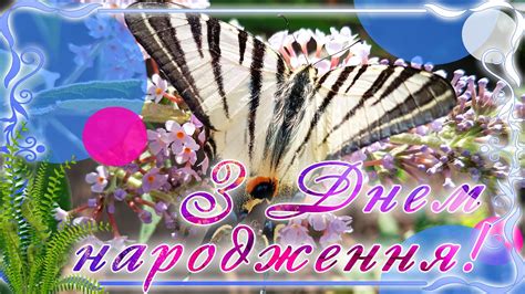 Українські привітання з Днем народження жінці Привітання з Днем