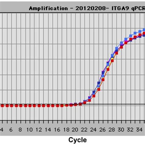 Representative Rt Pcr Plot Resulting From The Amplification Of The Download Scientific Diagram