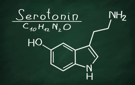 How To Increase Serotonin Levels Naturally Fap News Today