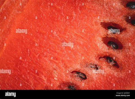 Watermelon Full Frame Macro On Fresh Ripe Juicy Slice Background Stock