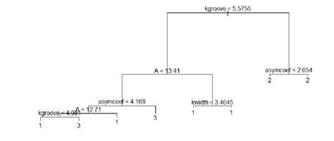 4 Classification Tree Diagram For Classifying A New Case For Seeds