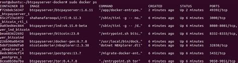 How To Set Up BTCPay Server On Ubuntu With Docker