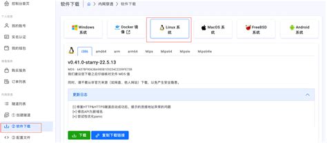 Pipe 通过 Frp 暴露公网，并开启 链滴