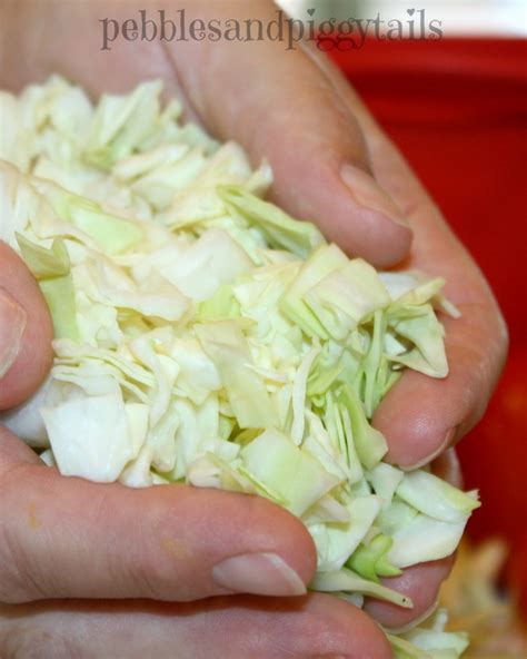 Fresh Cabbage Pico De Gallo Making Life Blissful