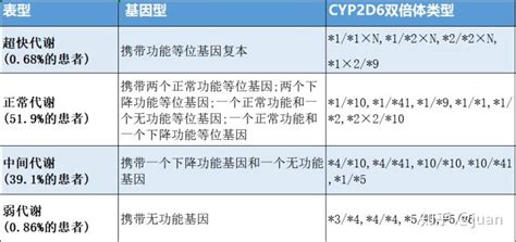 药物代谢关键酶之cyp2d6 知乎