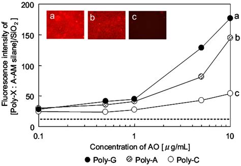 Jfb Free Full Text Development Of An Interaction Assay Between