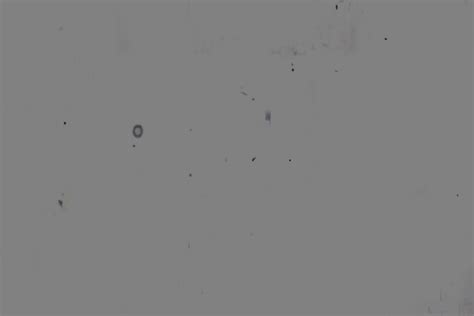 C How To Get String Value From An Oracleparameter Object When Using Executenonquery Stack