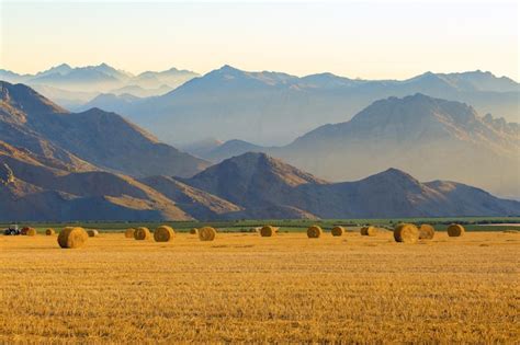 Premium Photo Field After Harvest Big Round Bales Of Straw