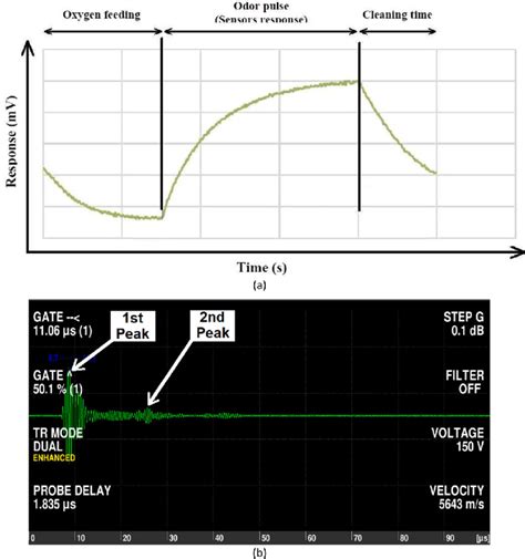 A Reaction Of An Olfactory Sensor In Different Operation Stages Of The