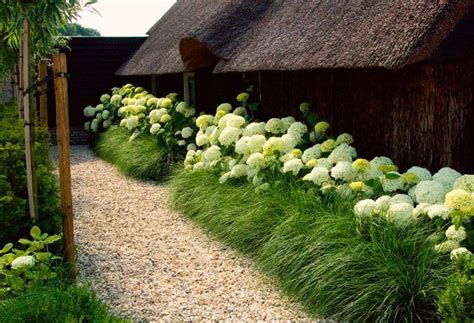 Landscaping And Water Features Grasses Landscaping Hydrangea