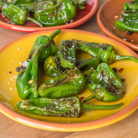 Buy Padron Chilli Seeds Dharaseeds