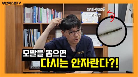 모발을 뽑으면 다시는 안자란다ㅣ부산맥스웰피부과 Youtube