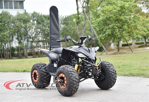 48v 750w Electric Quad Biek Atv With Dc Brushless Motor With Atv Quad