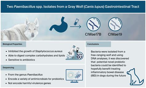 Phenotypic And Complete Reference Whole Genome Sequence Analyses Of Two