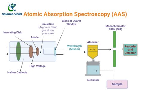 Atomic Absorption Spectroscopy Aas Introduction Principle